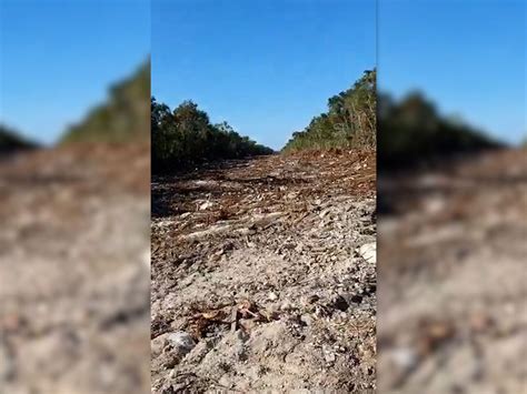 Hacemos Periodismo Infobae