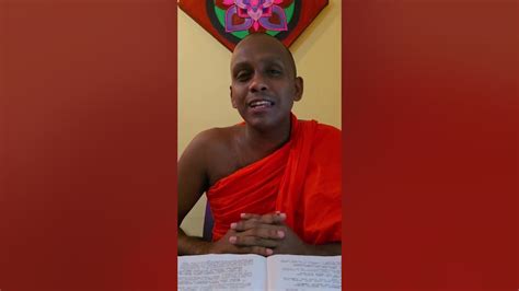 පිංබර දවසක් වේවා අද සැප්තැම්බර් 08 ඉරිදා ශාක්‍ය මුනි සදහම් සිතුවිලි