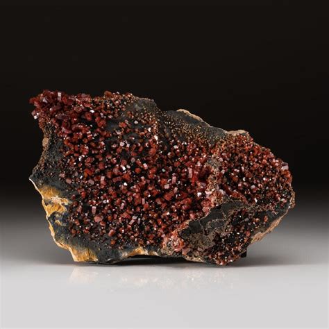 Astro Gallery Of Gems Genuine Vanadinite Crystal Cluster Wayfair