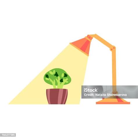 벡터 일러스트 램프 빛 아래 화분 플랫 스타일 인테리어 요소 가정 장식 식물 관리 전단지 Hygge 일러스트 레이션 등에 적용 할 수 있습니다 0명에 대한 스톡 벡터 아트