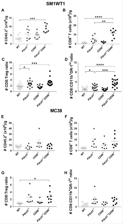 Deficiency Of Host Cd96 And Pd 1 Or Tigit Enhances Tumor Immunity Without Significantly