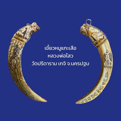 เหรียญหลวงพ่อไสว วัดปรีดาราม จังหวัดนครปฐม Lekk Kkong Thaipick