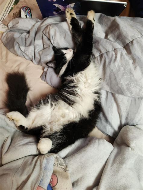 My Floofy Fluff R Floof