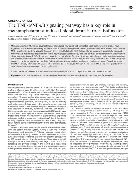 Pdf The Tnf Nf κb Signaling Pathway Has A Key Role In Methamphetamine