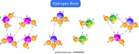 Hydrogen Bonds Water Photos And Images Shutterstock