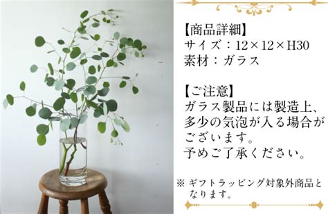 【楽天市場】福袋 ガラス 花瓶 福袋 大きい おしゃれ 大きい 円筒ベース S サイズ 花瓶 シンプル ブランチツリー アンティーク調 一輪