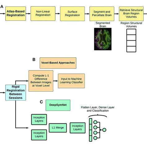Overview Of A Atlas Based And Non Linear Registration Imaging Download Scientific Diagram