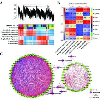 Weighted Gene Co Expression Network Analysis Wgcna Of Degs With