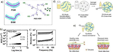 A Schematic Representation Of Native Mucins Porcine Gastric Mucin