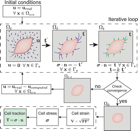 Scheme Of The Iterative Workflow During The Iterative Loop Three Download Scientific Diagram
