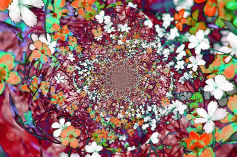 插花艺术