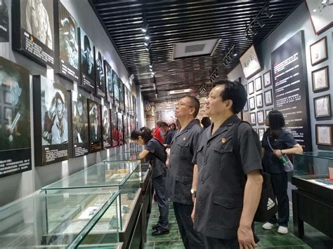 大英法院开展传承优秀文化传统 筑牢廉政建设底线主题党日活动 澎湃号政务 澎湃新闻 The Paper