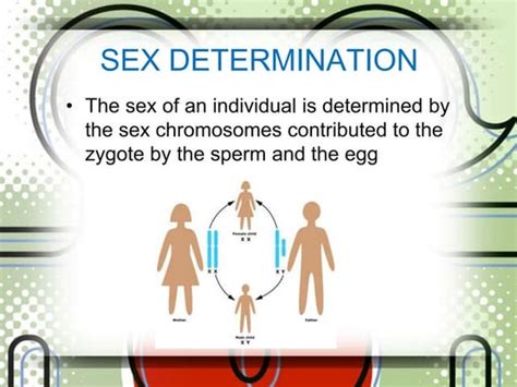 sex linked inheritance ppt