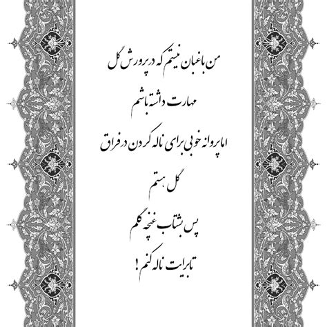 Mohammad Amin Jamshidi Jamshidi909011 • Instagram Photos And Videos