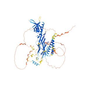 RTKN2 Gene - GeneCards | RTKN2 Protein | RTKN2 Antibody
