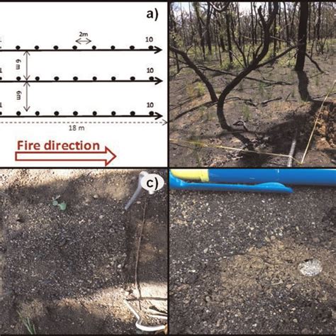 Sampling Design A Schematic Of The Sampling Grid With Sampling Download Scientific Diagram