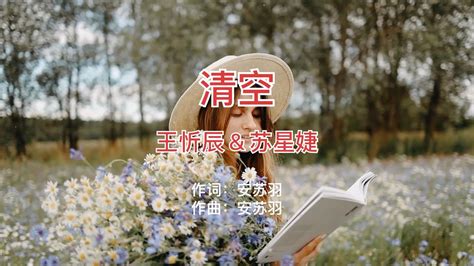 清空 王忻辰 And 苏星婕 動感歌詞 【是我爱的太蠢太过天真才会把你的寂寞当作契合的灵魂】 Youtube