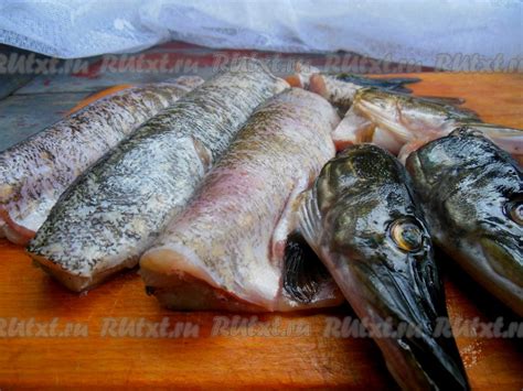 Рецепт щуки, жареной на сковороде: 8 фото в рецепте