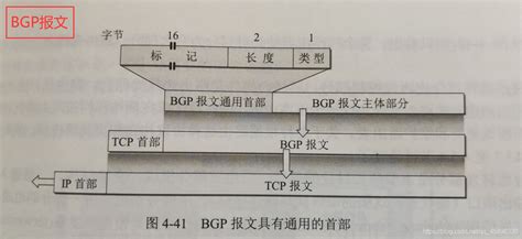 【2017统考真题】直接封装rip、ospf、bgp报文的协议分别是直接封装rip，ospf Csdn博客