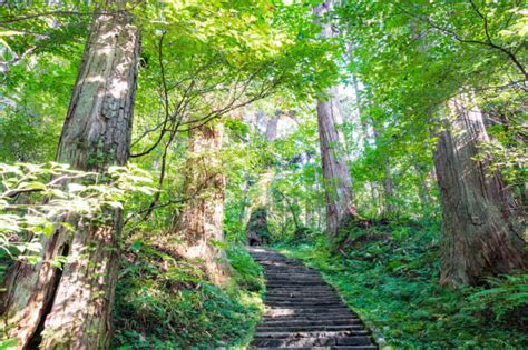 200 Tsuruoka Foto Foto Foto Stok Potret And Gambar Bebas Royalti Istock