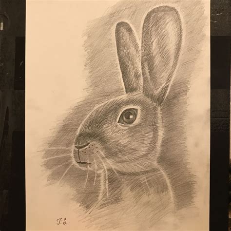 Учусь рисовать карандашом с Егором Анцуповым. Школа Егор Матита.