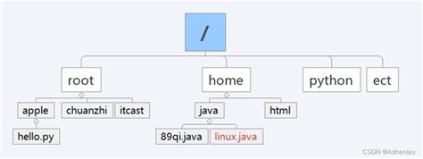 常用的linux命令1 Csdn博客