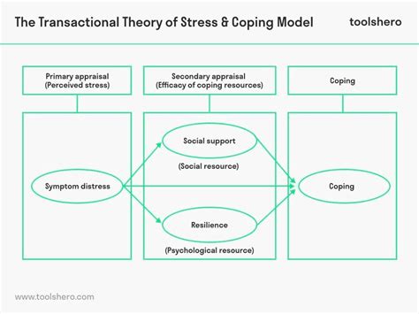 Transactional Theory Of Stress And Coping Ttsc Toolshero
