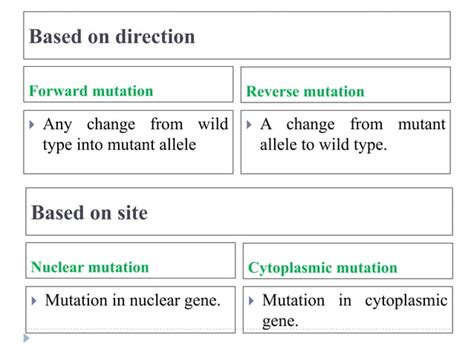 Mutation And Its Detection Pptx