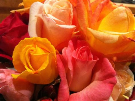 Always Learning Husbands Responsibility In Sex