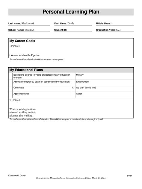 Personal Learning Plan Pdf Mentorship