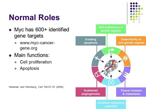 c myc a biological paradox ppt video online download