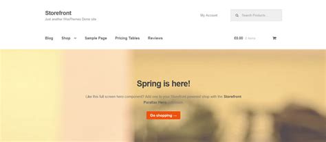 15 Of The Best Woocommerce Themes For Wordpress 2016
