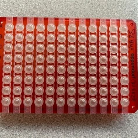 Plate Sequencing Yale Research