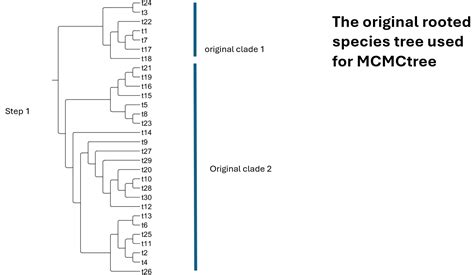 How Does Paml Read A Rooted Tree Sishuo Wang