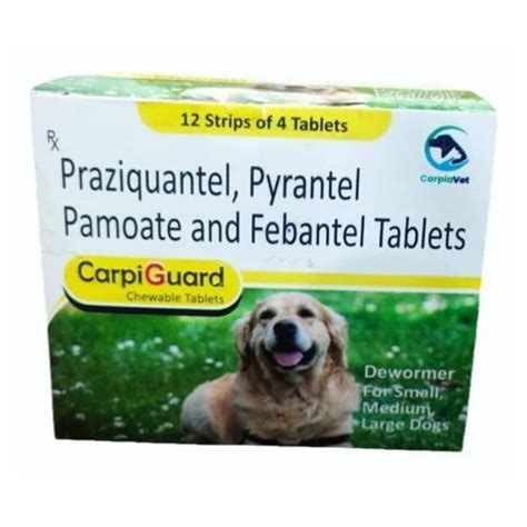 Praziquantel Pyrantel Pamoate Febantel Tablet 500 Mg At Best Price In Meerut