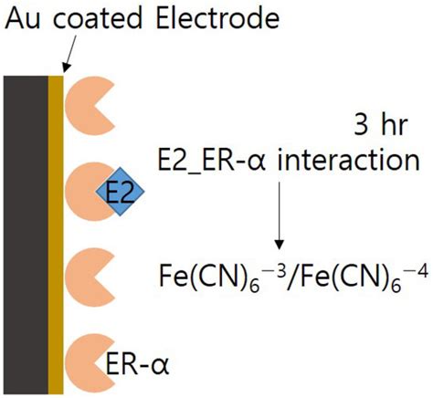 Chemosensors April 2024 Browse Articles