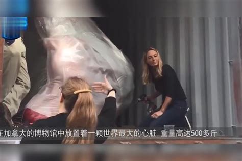 世界最大的心脏，重达500多斤，这是什么动物？心脏什么动物