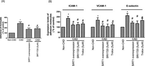 An Increase Of Monocyte Adhesion To Endothelial Cells In Cad Patients