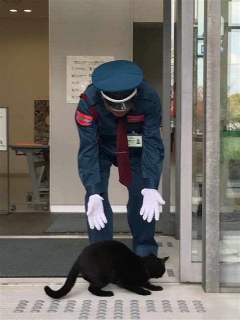 気になるニャ 猫アートに吸い寄せられた猫、美術館に入りたくて警備員と攻防を繰り広げる（2017年3月22日）｜biglobeニュース