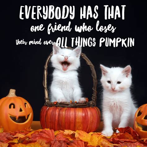 Pinterest Halloween Memes Funny Halloween Memes Halloween Jokes