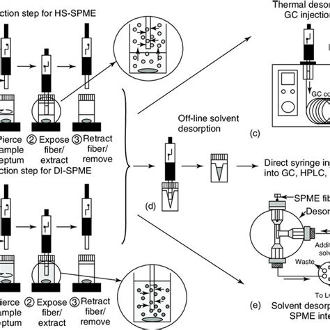 Pdf Solid Phase Microextraction Spme And Its Application To Natural