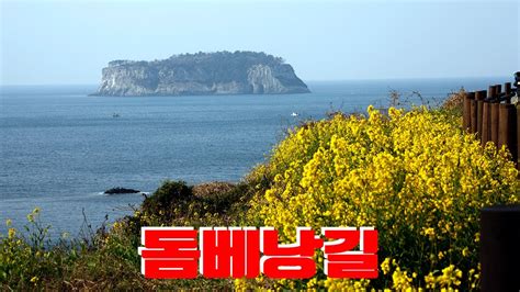 제주 올레길 7코스 Korea Tour 돔베낭길 Jejuolregil 한국여행 제주도여행 Youtube