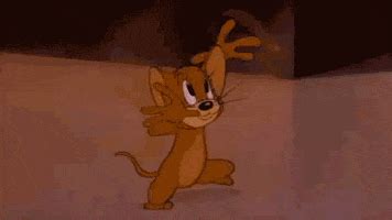 Tom Jerry GIFs Find Share On GIPHY