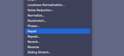 How To Fix Distorted Audio In Audacity Methods Boris Fx