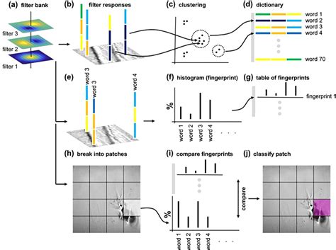 Flowchart Of Feature Extraction And Machine Learning Process Download Scientific Diagram