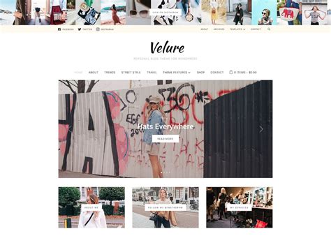博客皮肤网页模板 Velure Fashion Blog Wp Theme 云瑞设计