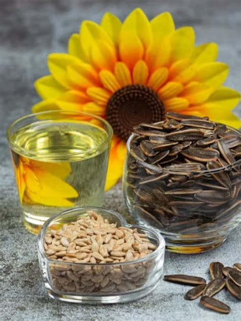 सूर्याफुलाच्या तेलाचे ‘हे फायदे माहीत आहेत का