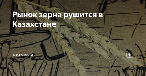 Рынок зерна рушится в Казахстане АПК Новости Дзен