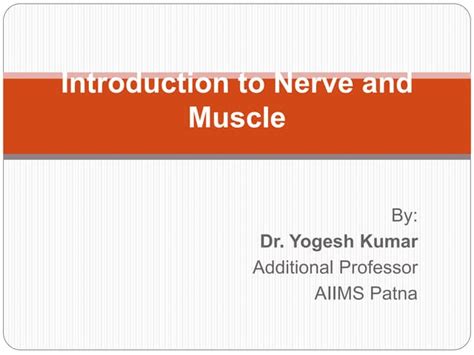 Classification Of Nerve Fibres Pptx