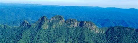 Cockscomb Basin Wildlife Sanctuary And Jaguar Preser In Belize Belize